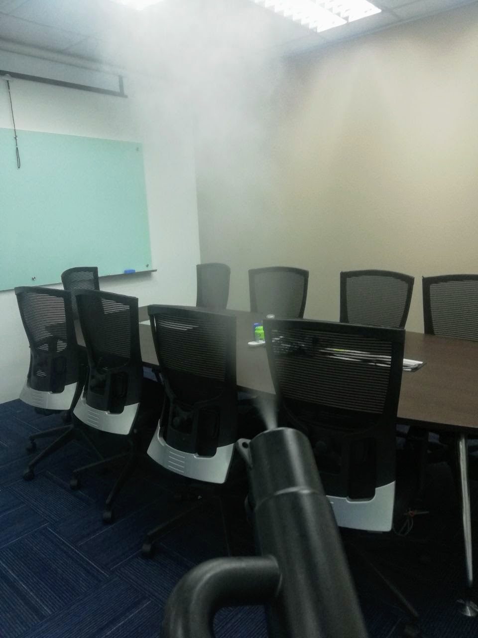 Gallery - Steam & Sanitize