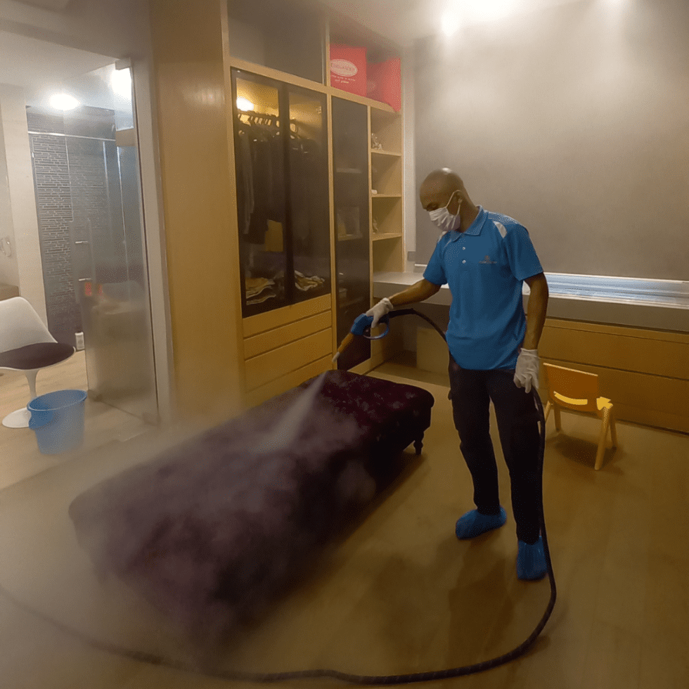 Steam and Sanitize | Facade Cleaning, Carpet Cleaning, Formaldehyde ...